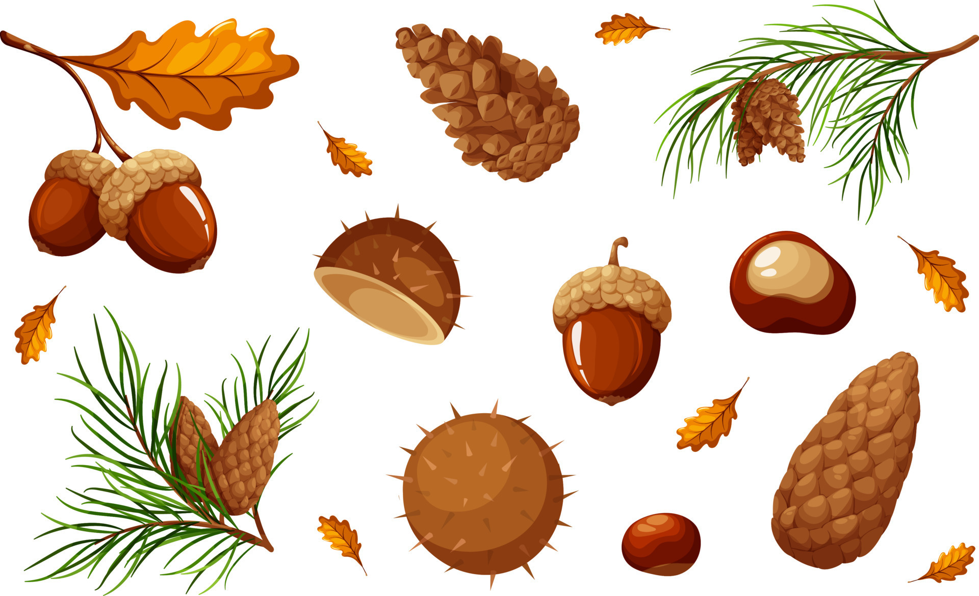 Set of natural elements, acorns, chestnuts, cones, materials for ...