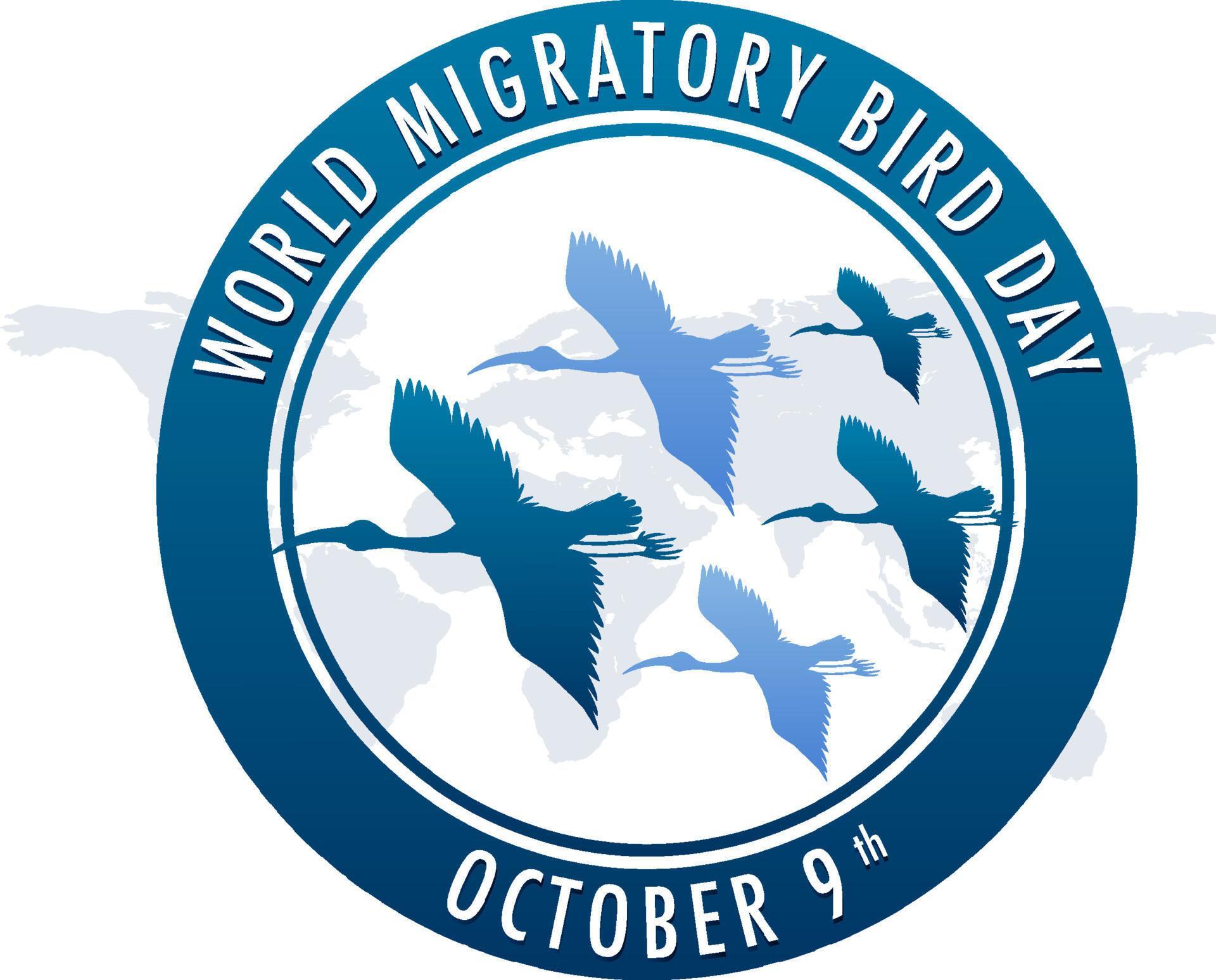 World Migratory Bird Day Banner Template 10959409 Vector Art at Vecteezy World Migratory Bird Day Banner Template 10959409 Vector Art at Vecteezy