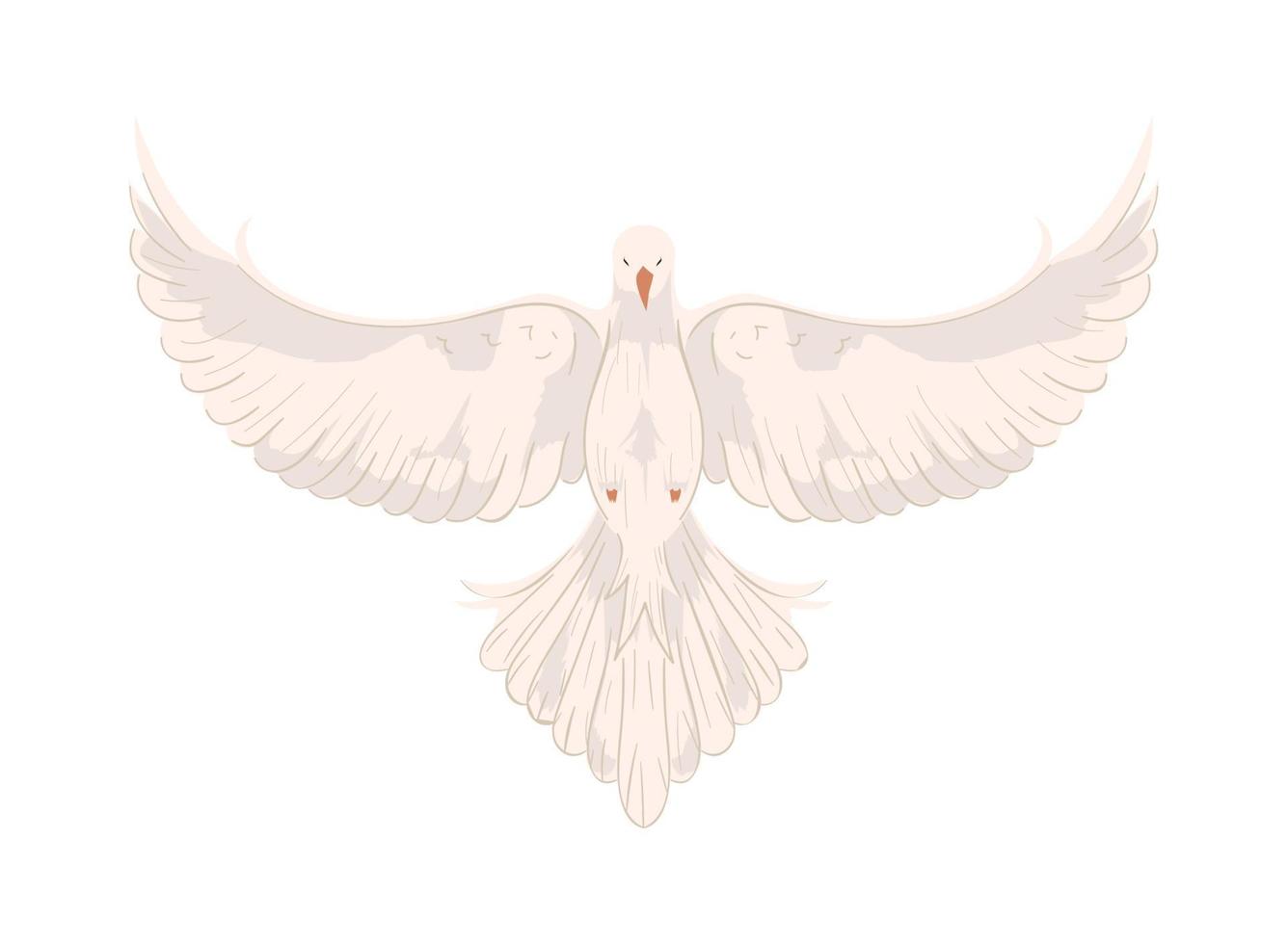 Dove With Open Wings 10963656 Vector Art At Vecteezy