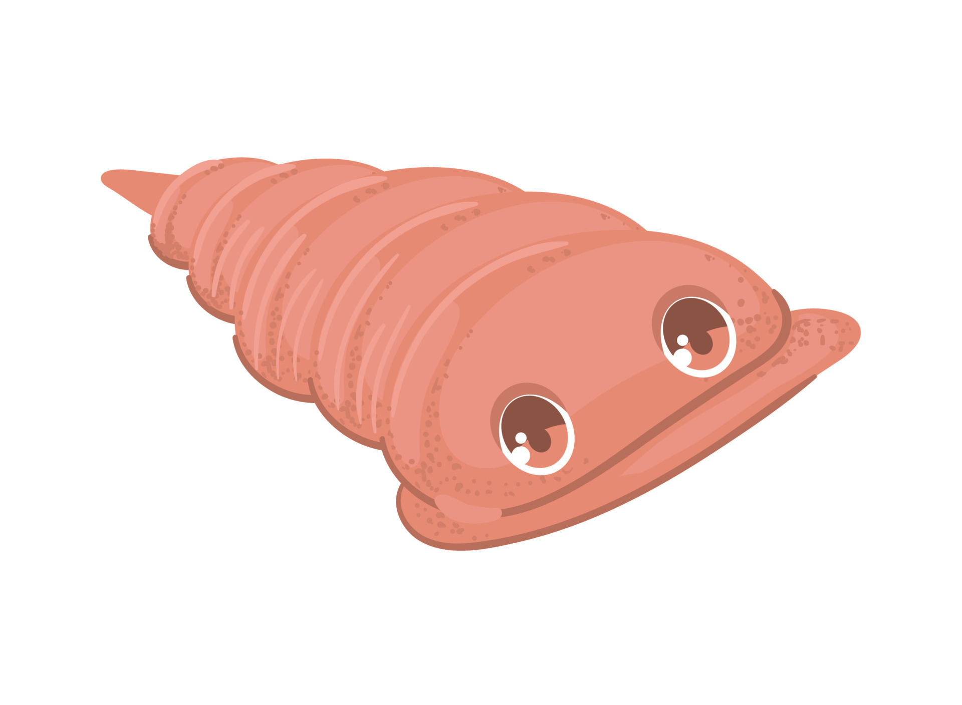 Snail Sea Life 10968238 Vector Art At Vecteezy