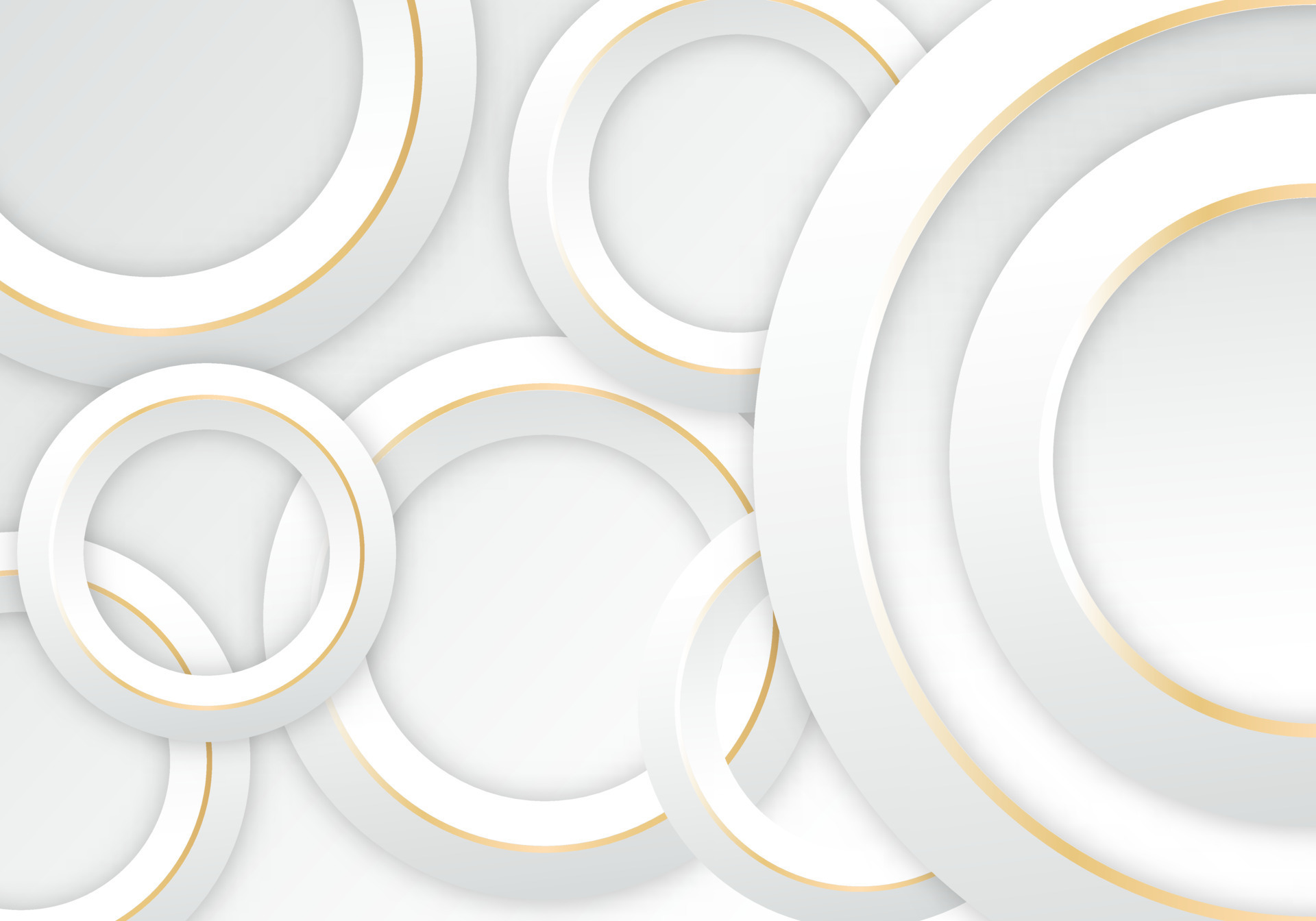 Abstract 3d Circle Papercut Layer White Background With Gold Line