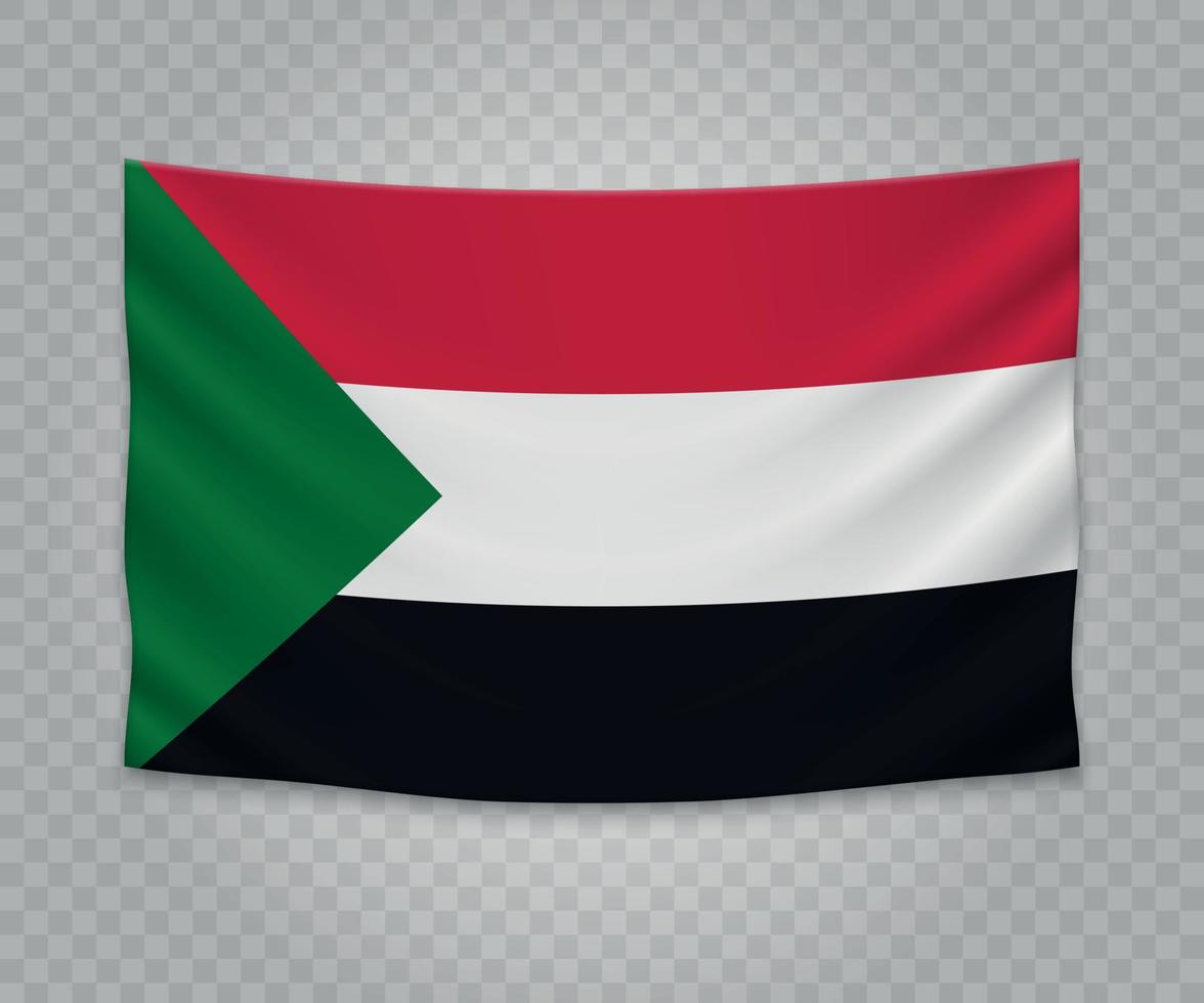 Realistic hanging flag 10971528 Vector Art at Vecteezy