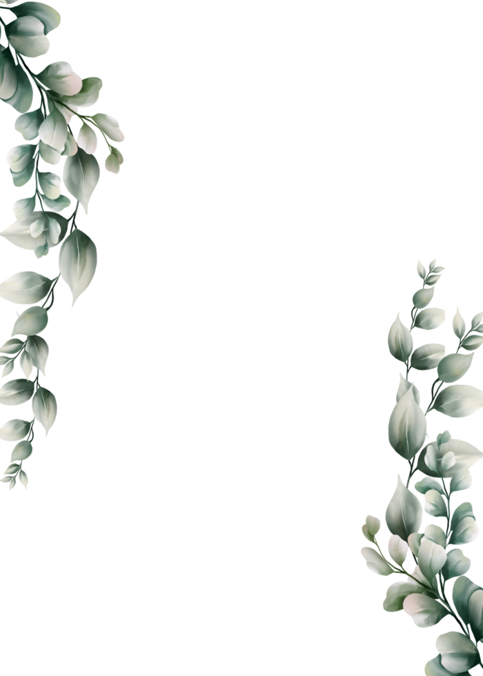 Eucalyptus Watercolor Border Eucalyptus Watercolor Frame Png | My XXX ... Eucalyptus Watercolor Border Eucalyptus Watercolor Frame Png | My XXX ...