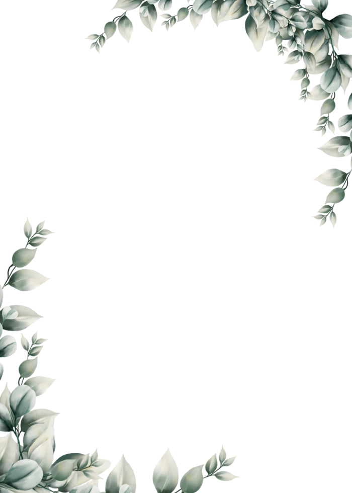 Watercolor eucalyptus leaf frame 10978377 PNG Watercolor eucalyptus leaf frame 10978377 PNG
