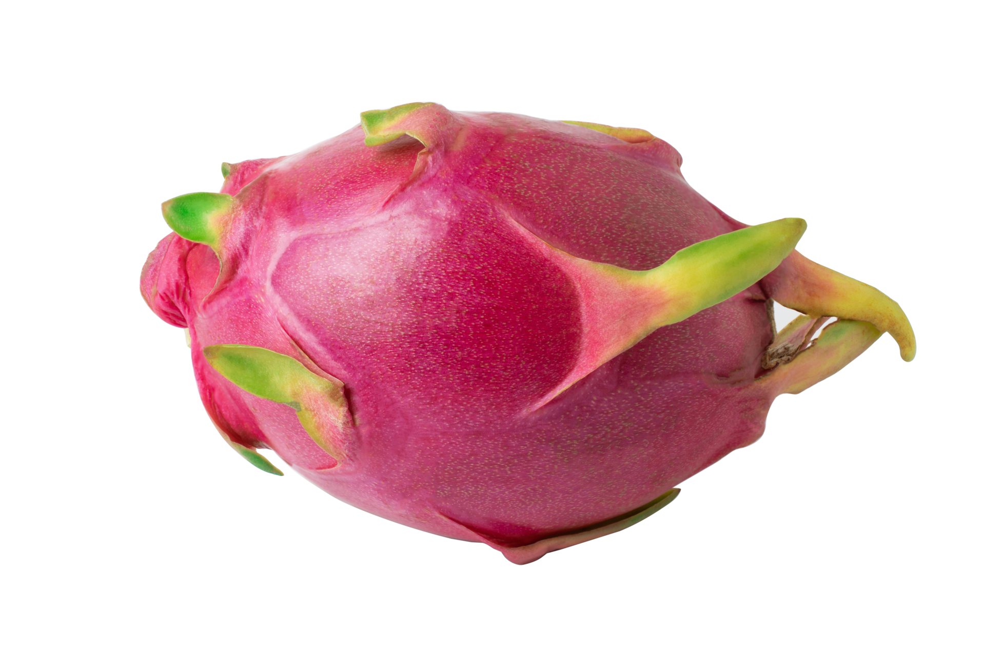 Dragon Fruit Isolated On White Background With Clipping Path 10987488 Png