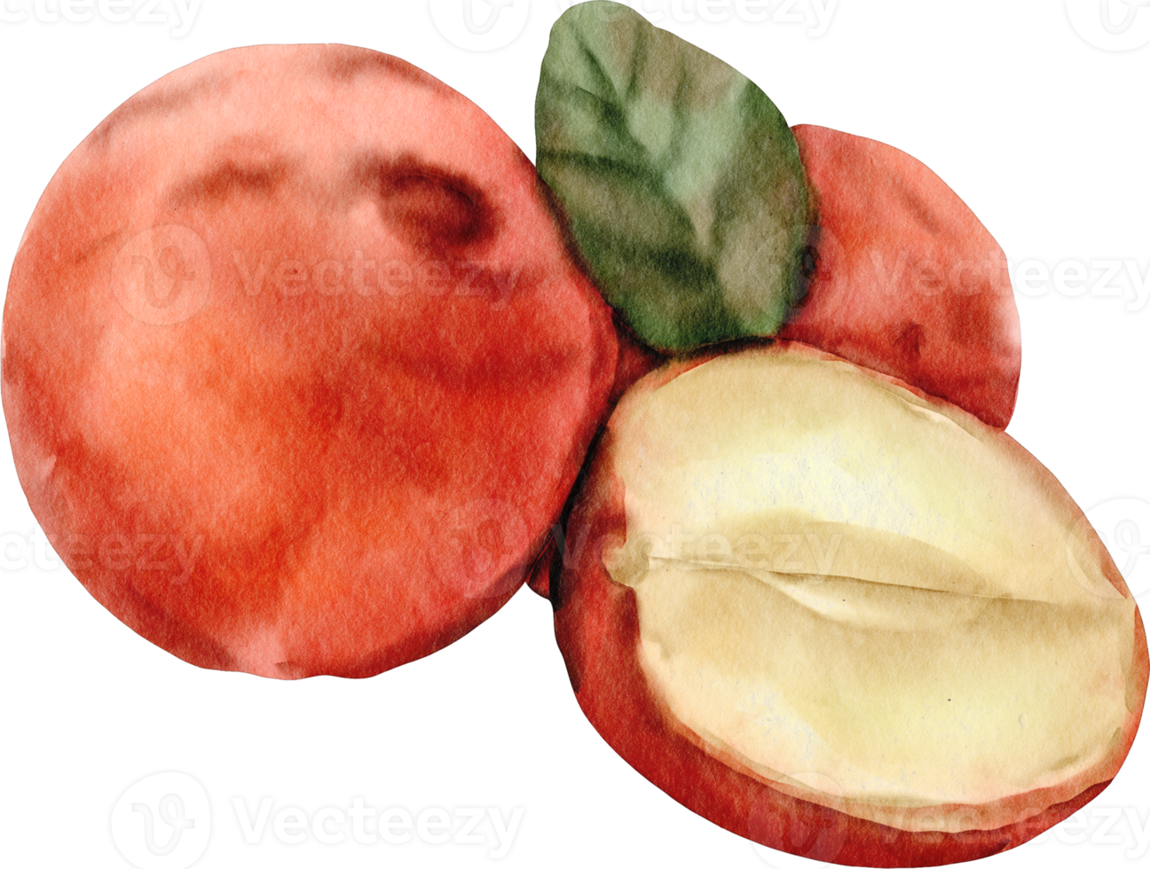 watercolor apple clip art 10987907 PNG