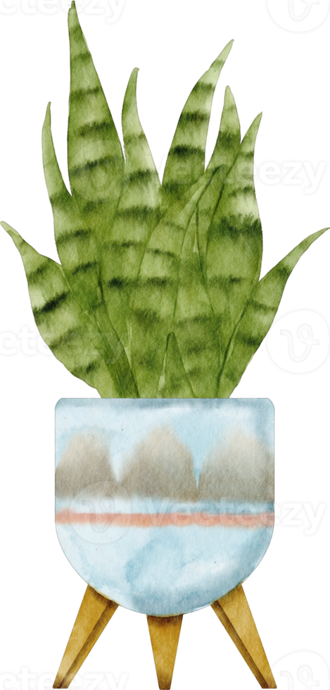 watercolor house plant clip art 10987924 PNG