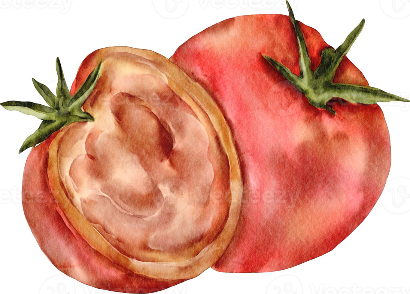 watercolor tomato clip art 10987963 PNG