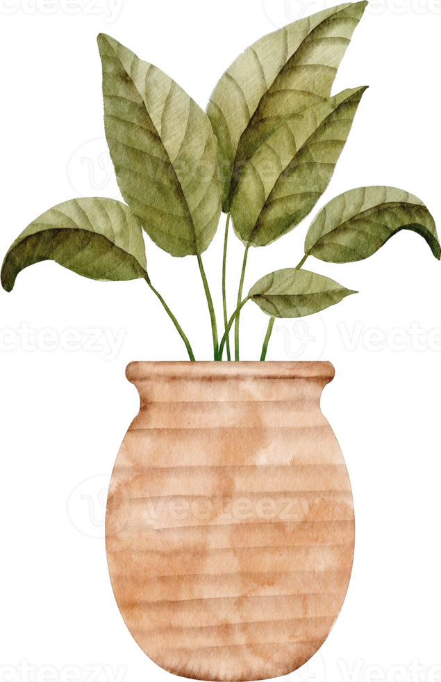 Clip Art House Plant