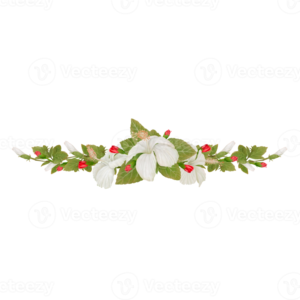 Hibiscus Bouquet in Watercolor with a Curve Decoration 10989052 PNG Hibiscus Bouquet in Watercolor with a Curve Decoration 10989052 PNG