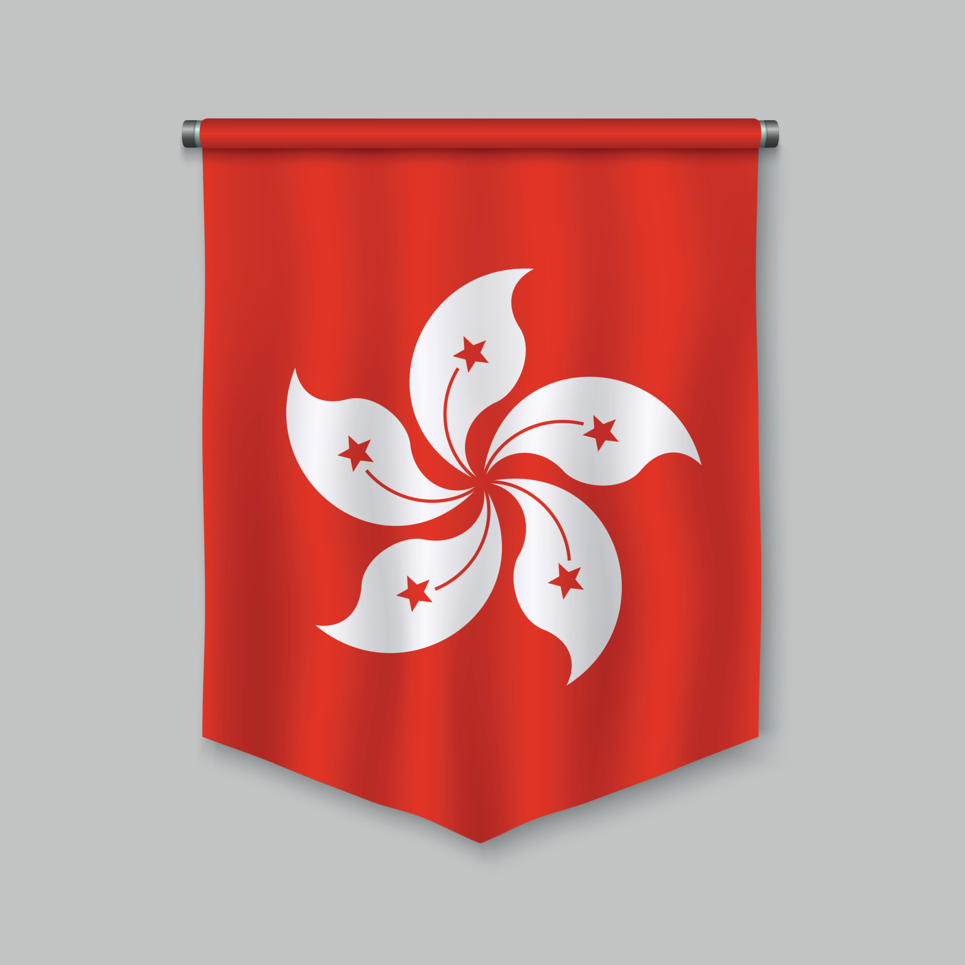 pennant with flag 10994170 Vector Art at Vecteezy