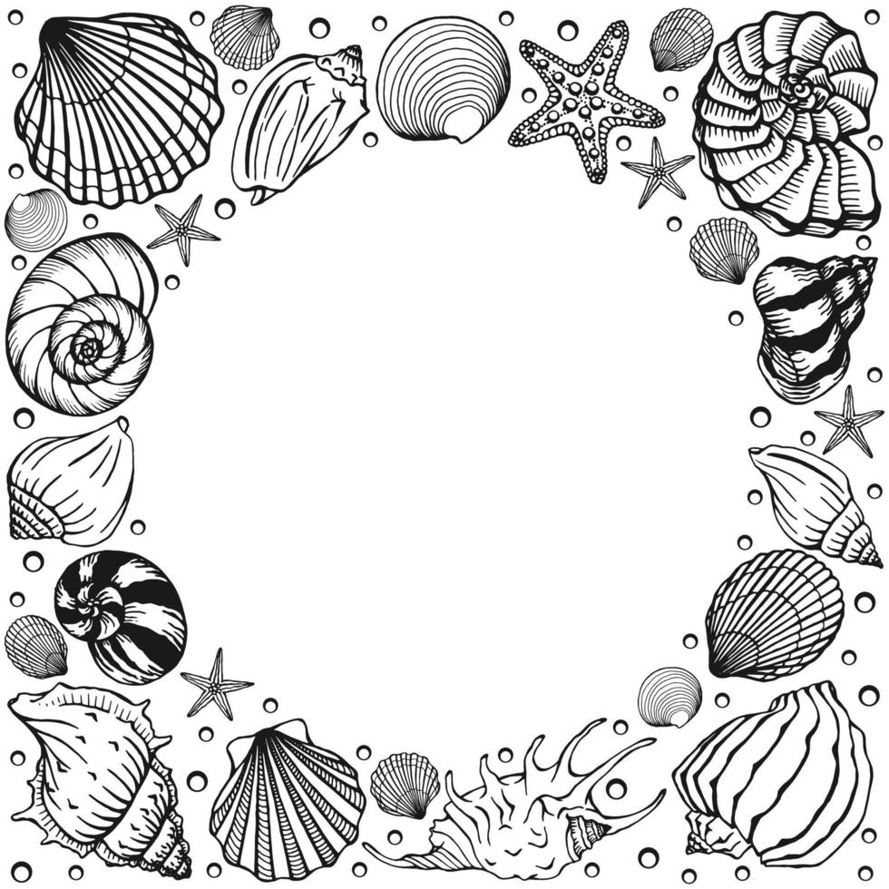 Seashells frame. Sea and ocean design card template. Hand drawn vector ... Seashells frame. Sea and ocean design card template. Hand drawn vector ...