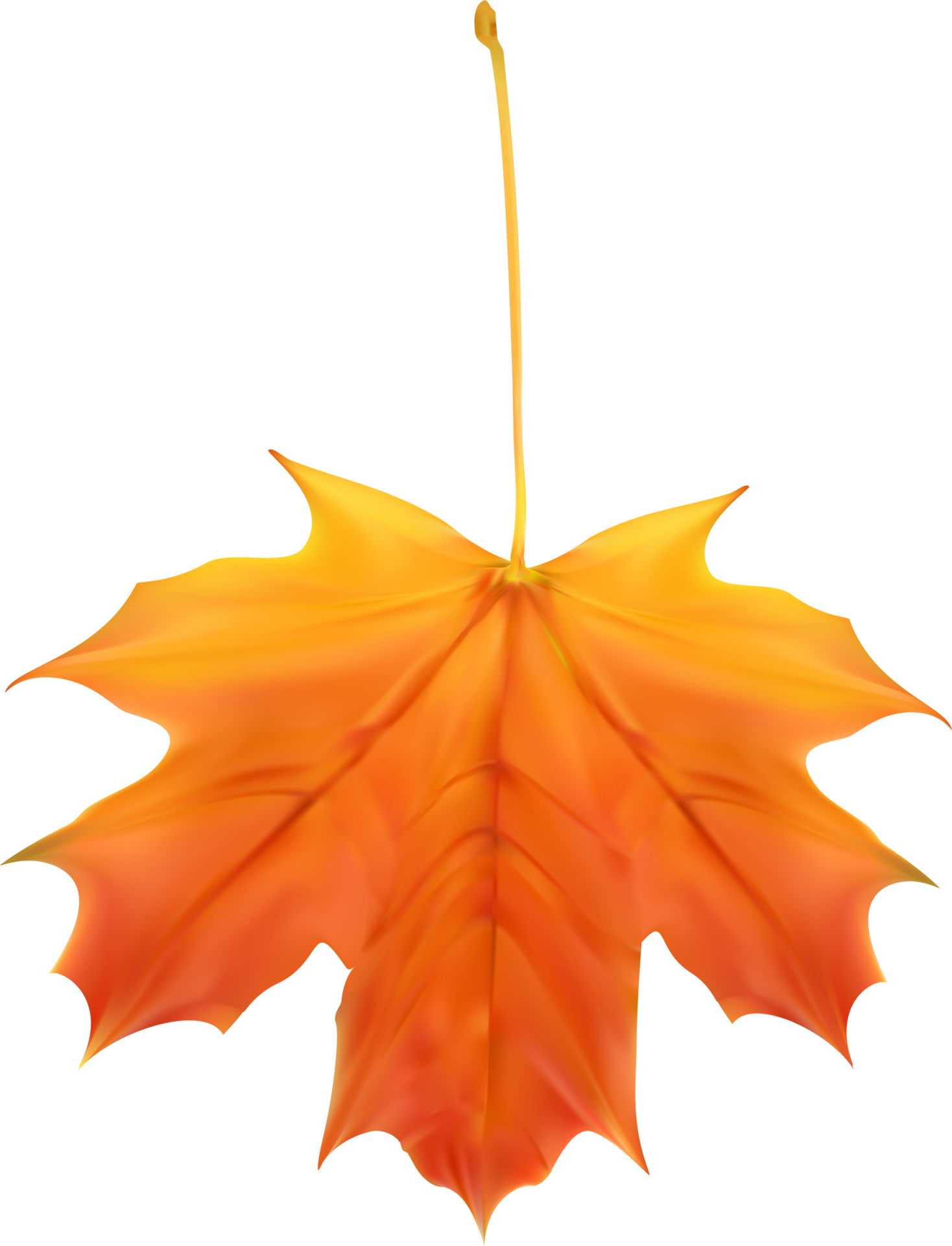 Autumn Fall Leaf 11015852 PNG