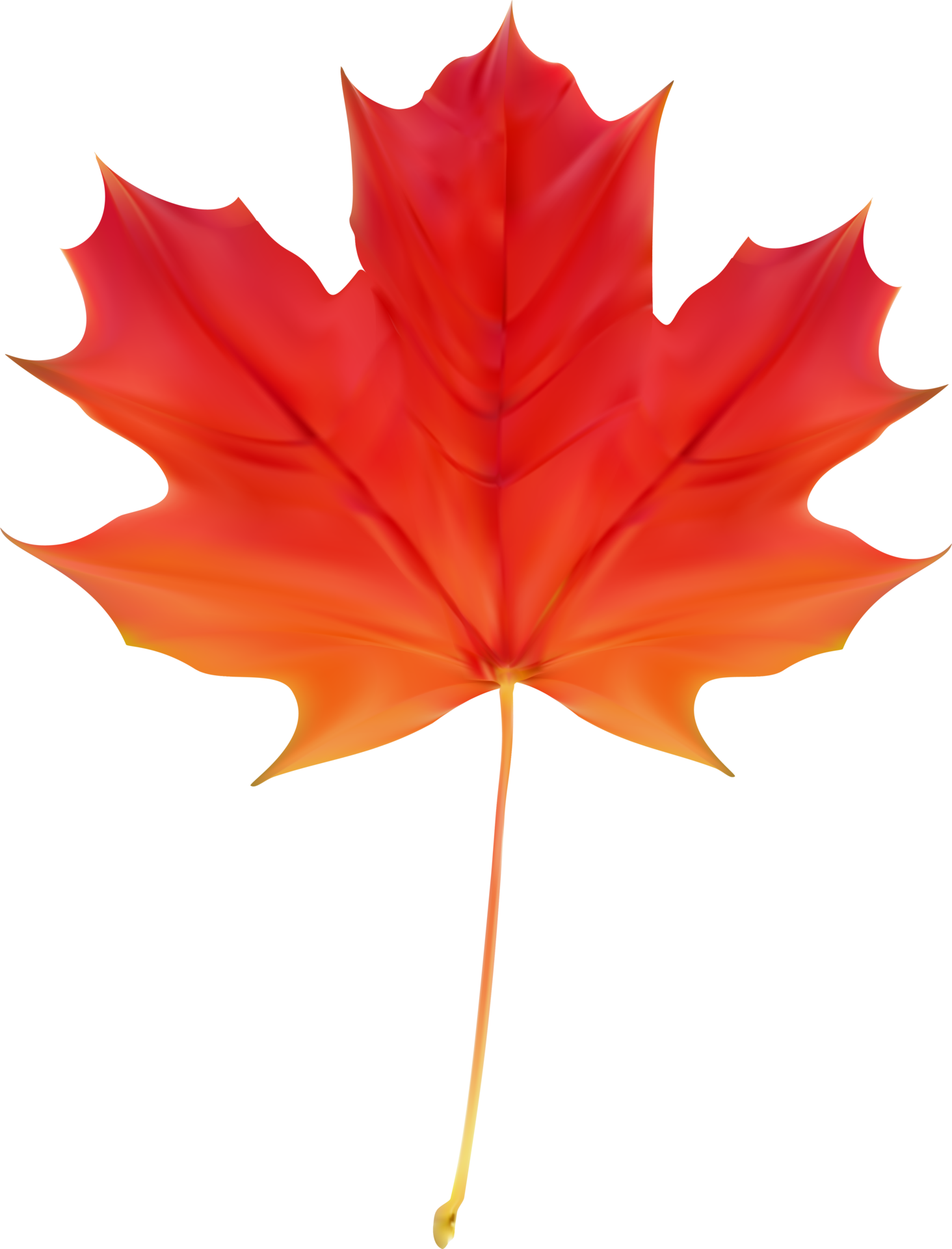 hoja de otoño otoño 11016446 PNG hoja de otoño otoño 11016446 PNG