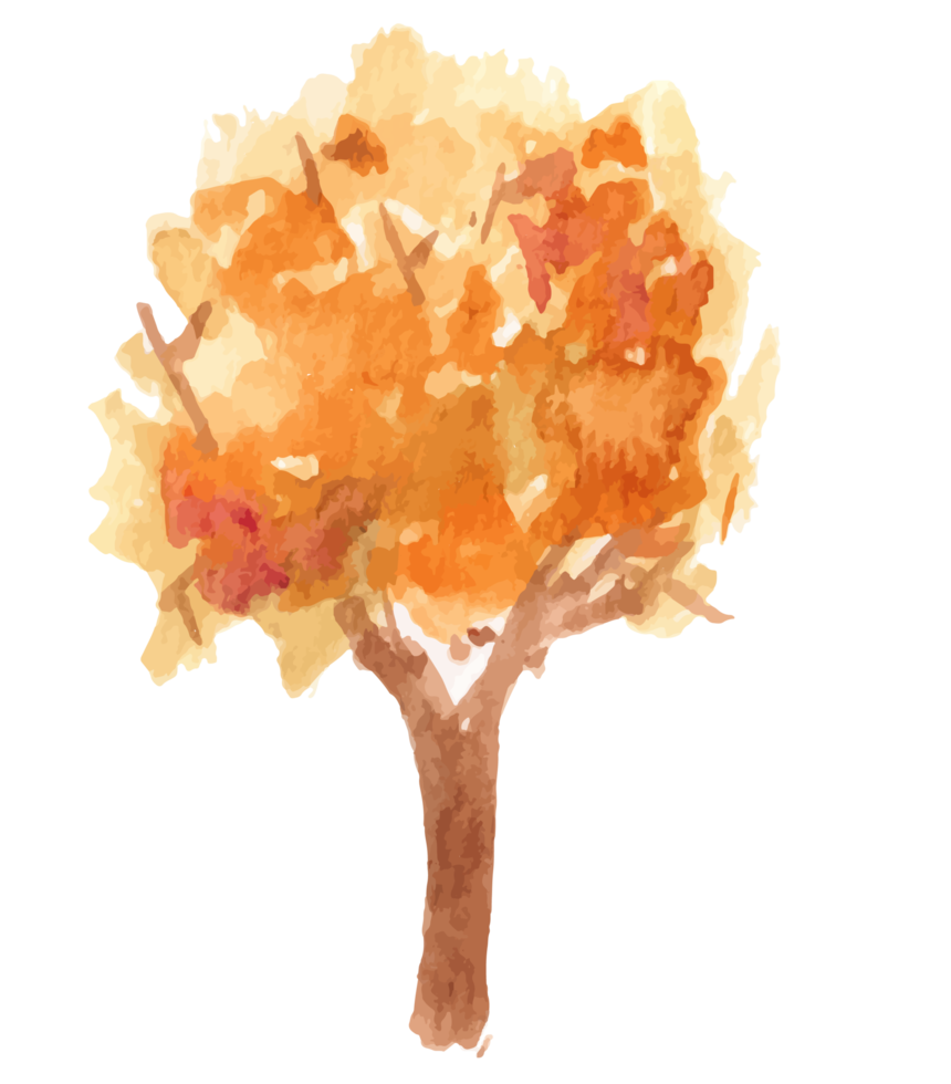 autumn tree watercolor illustration. 11027779 PNG