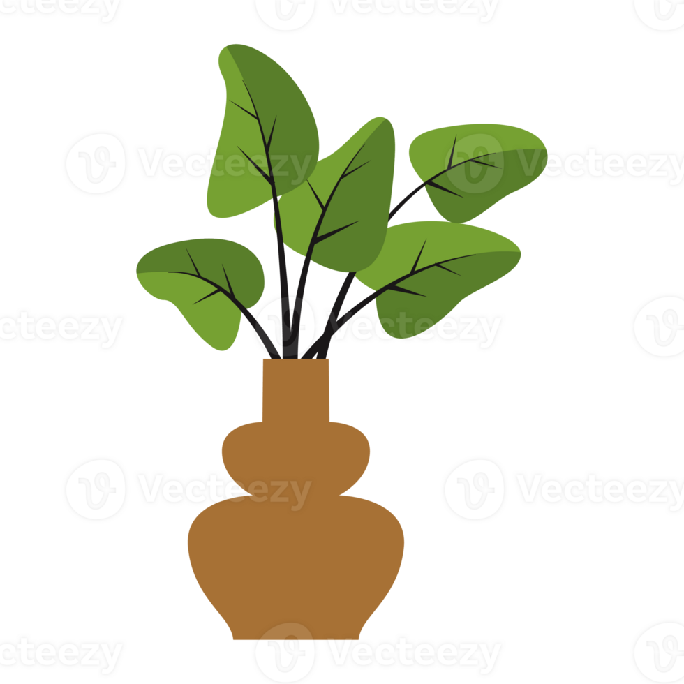 Planta Da Casa E Decoração Floral Em Elemento De Design De Ilustração