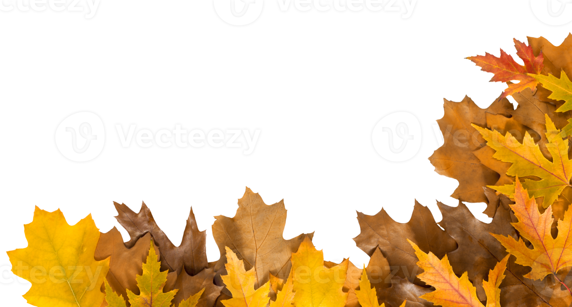 autumn leaf frame 11033479 PNG