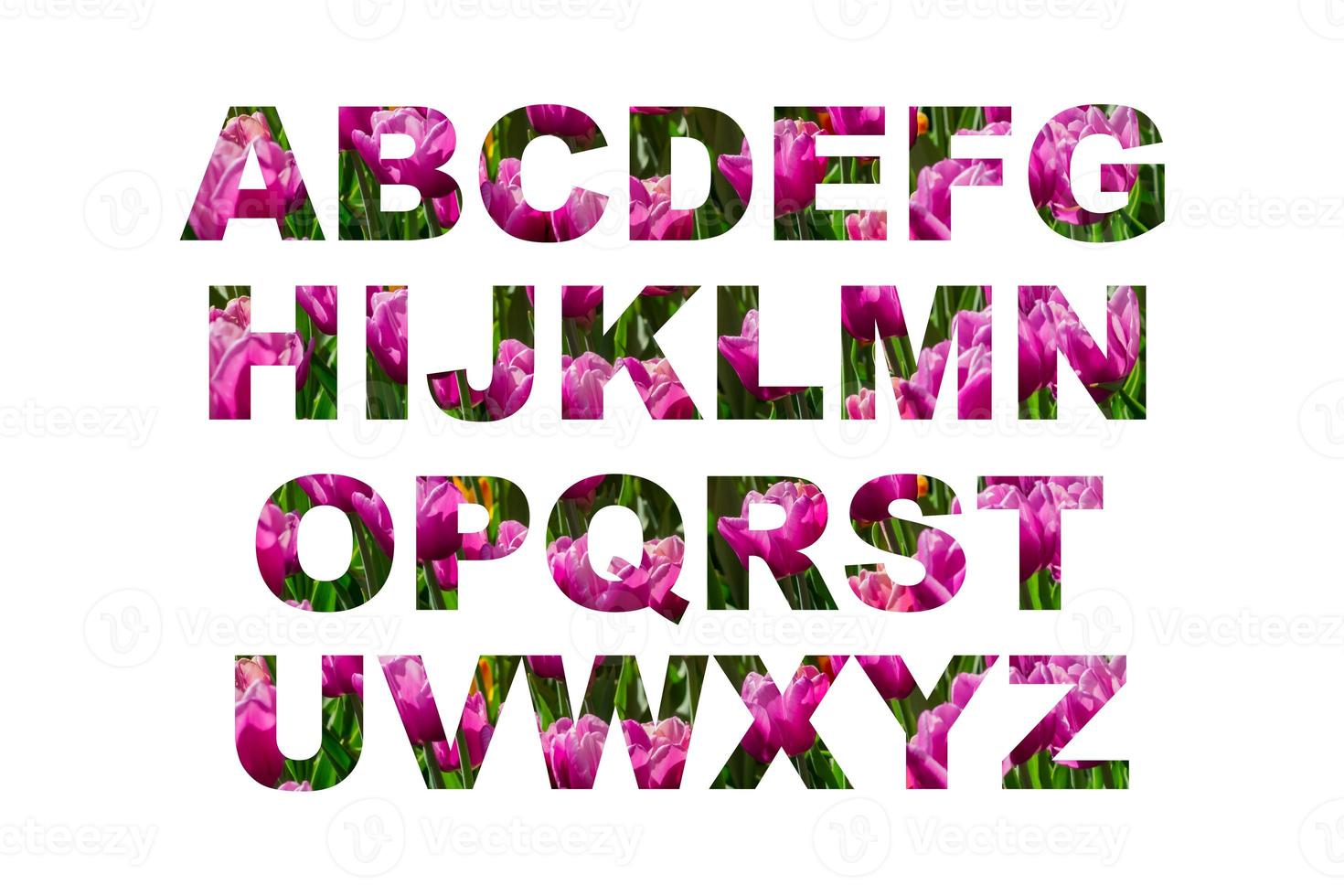 tulip summer alphabet, floral lettering on white backgound. 11035312 ...