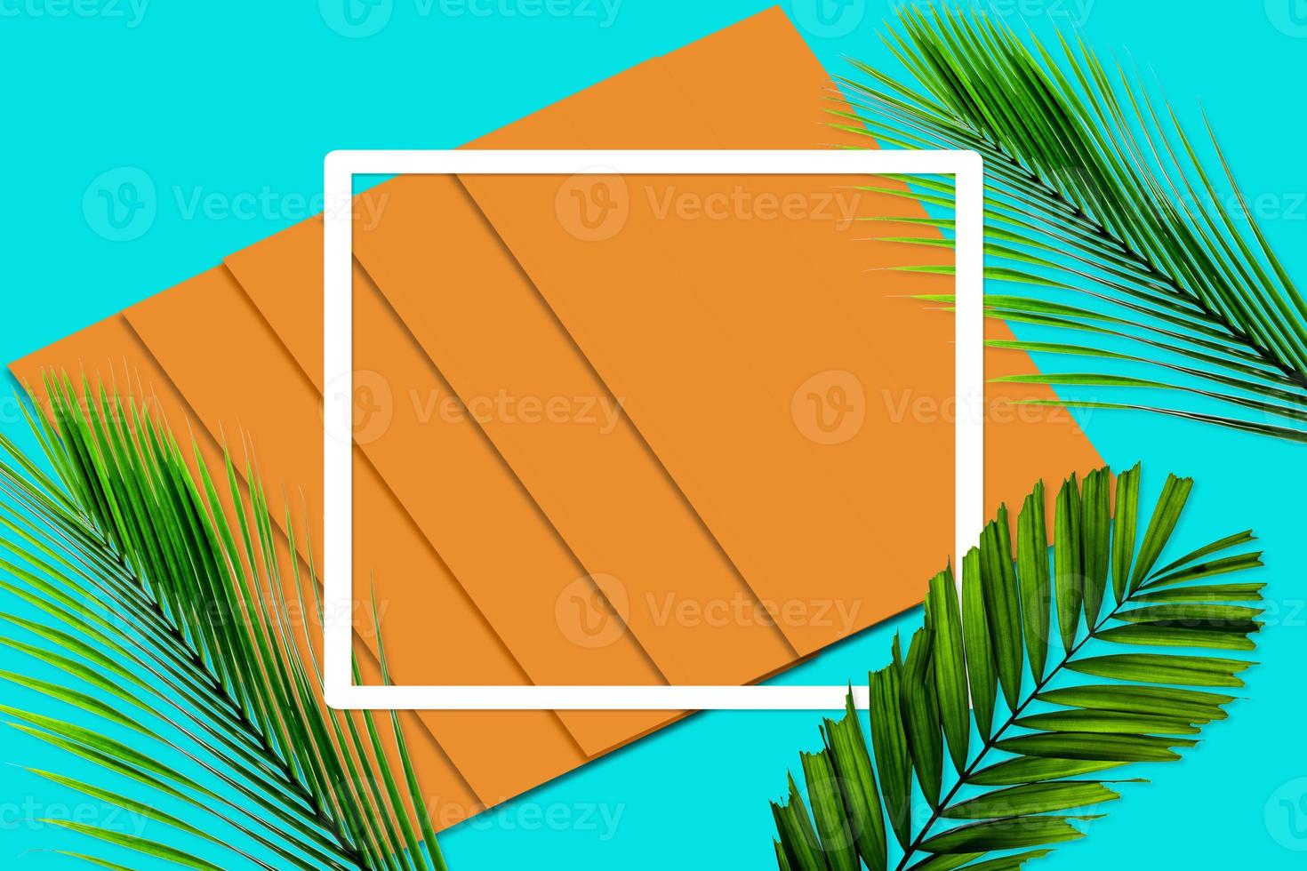 Green Palm Leaves Pattern For Nature Concept Tropical Leaf On Orange
