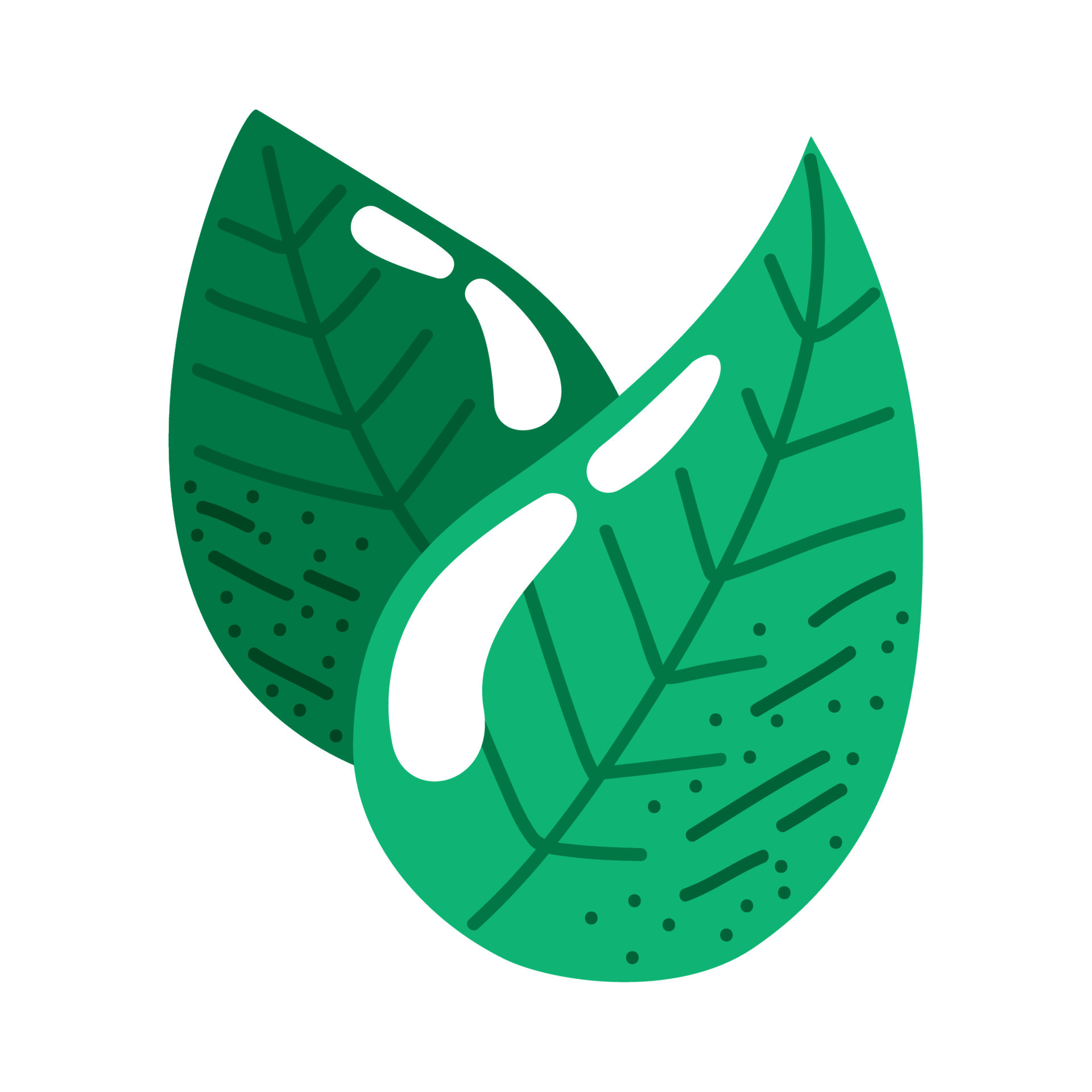 Ecology Leafs Plant 11088410 Vector Art At Vecteezy