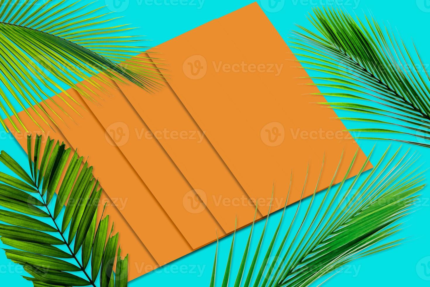 Green Palm Leaves Pattern For Nature Concept Tropical Leaf On Orange