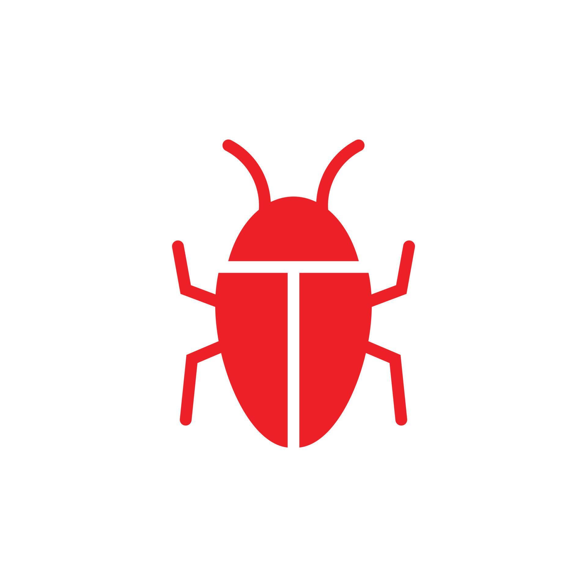 eps10 red vector program bug animal icon isolated on white background. software bug symbol in a ...