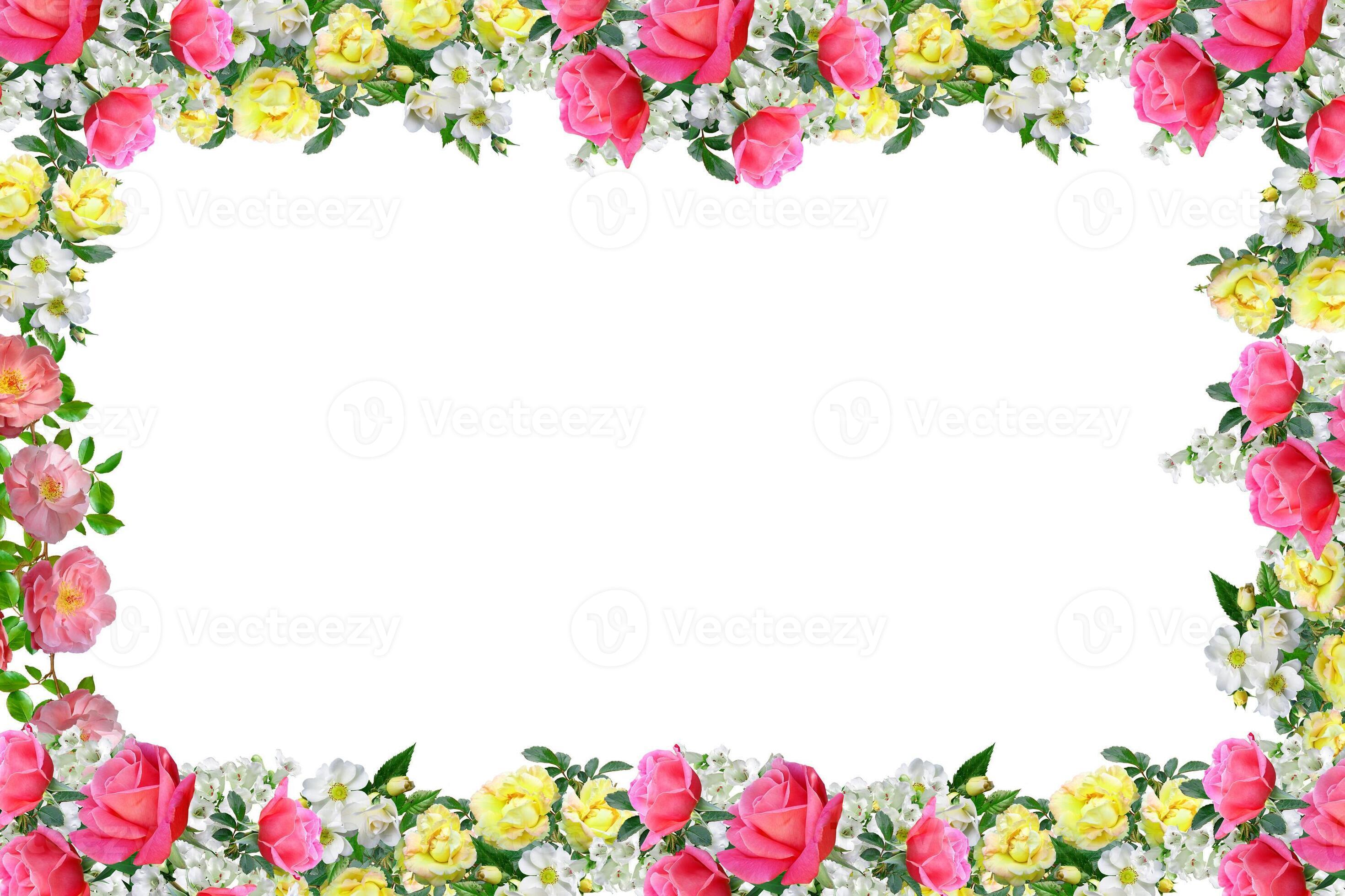 Flower border Frame Background, Flower Background, Floral Frame ... Flower border Frame Background, Flower Background, Floral Frame ...