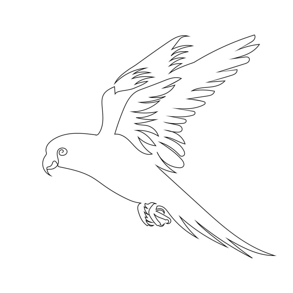 Parrot Drawing Vector Art Icons And Graphics For Free Download