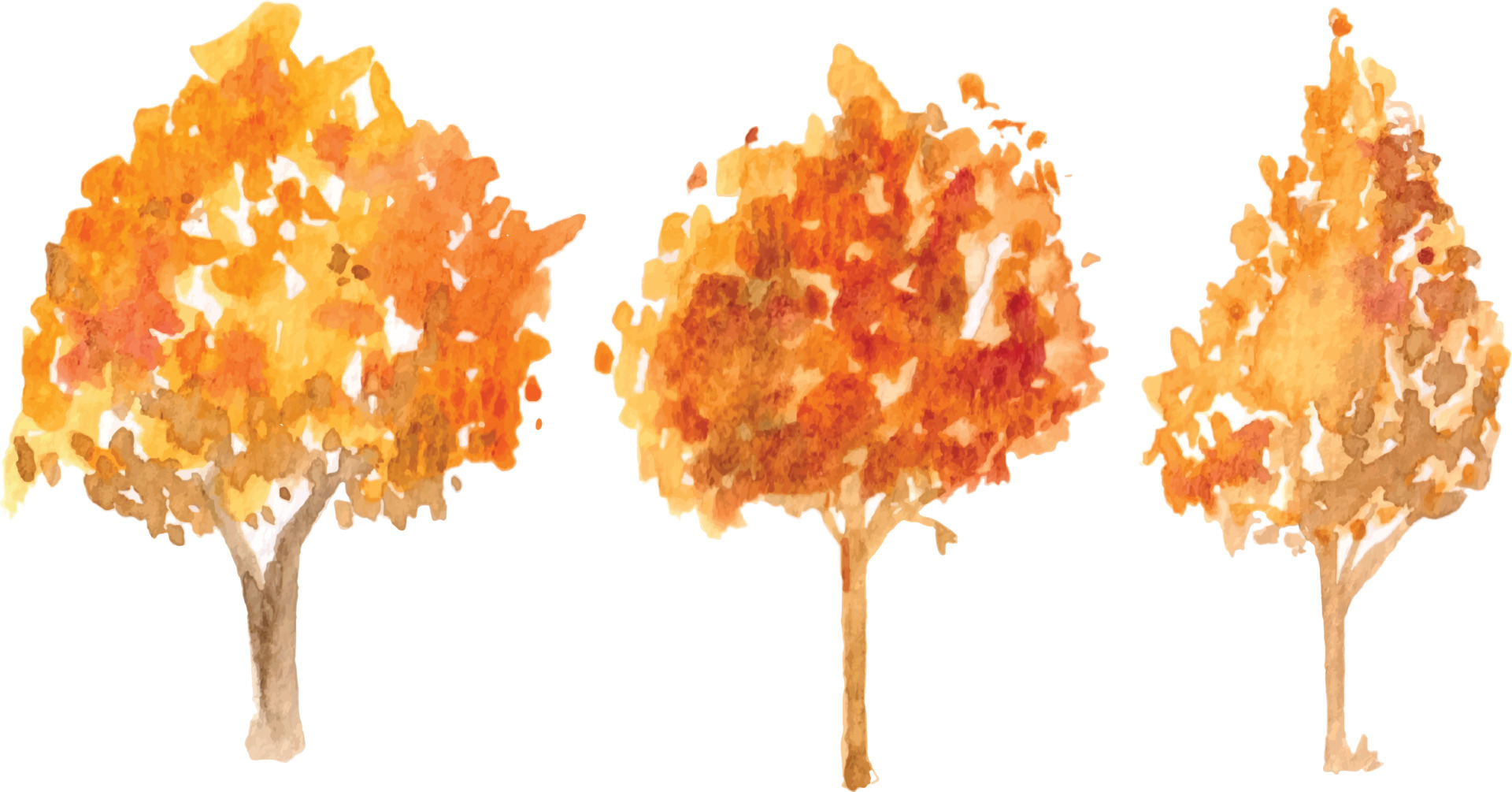 Vector hand drawn autumn tree watercolor illustration on white ...