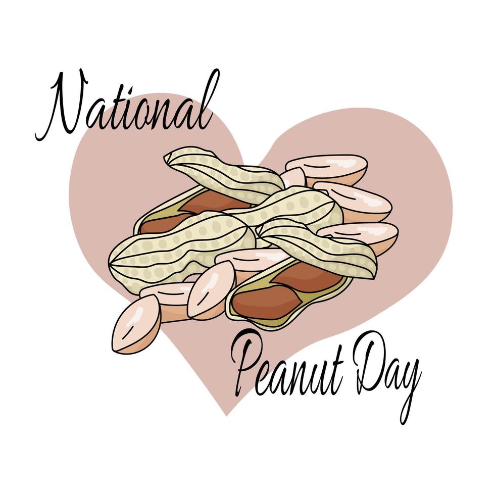 National Peanut Day, idea for a banner or postcard, peanuts in a pod ...