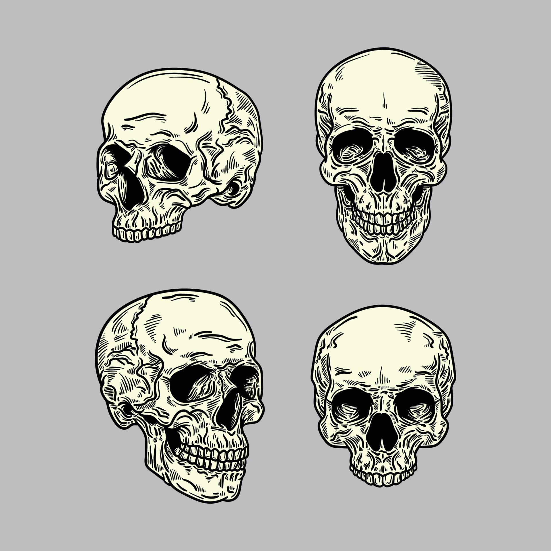 Hand Drawn Realistic Skulls 11129371 Vector Art At Vecteezy