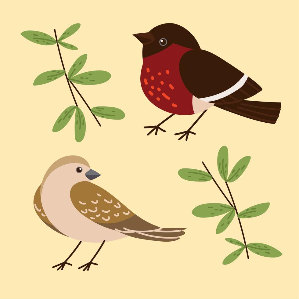 birds and branches 11130180 Vector Art at Vecteezy