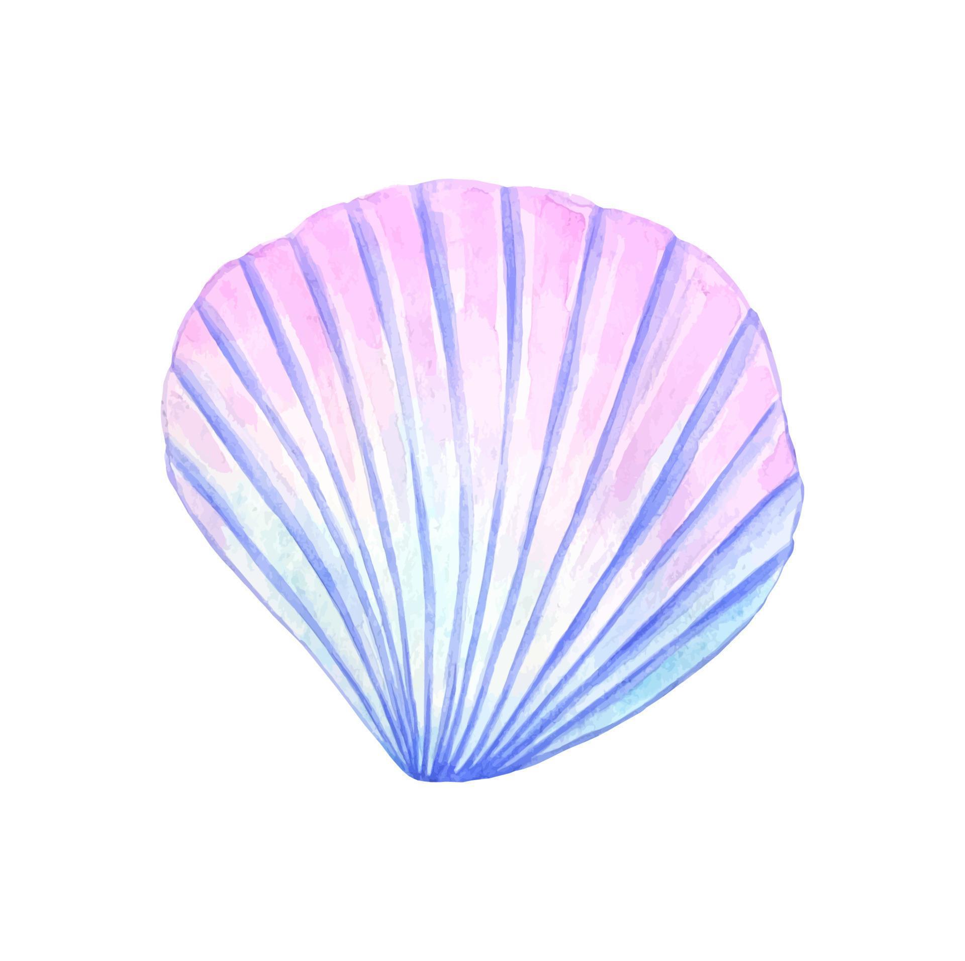 Watercolor Purple Seashell Isolated 11136526 Vector Art At Vecteezy