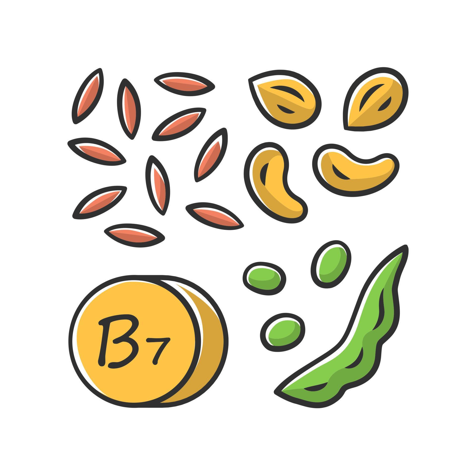 Vitamin B7 yellow color icon. Almonds and peanuts. Nuts and peas ...