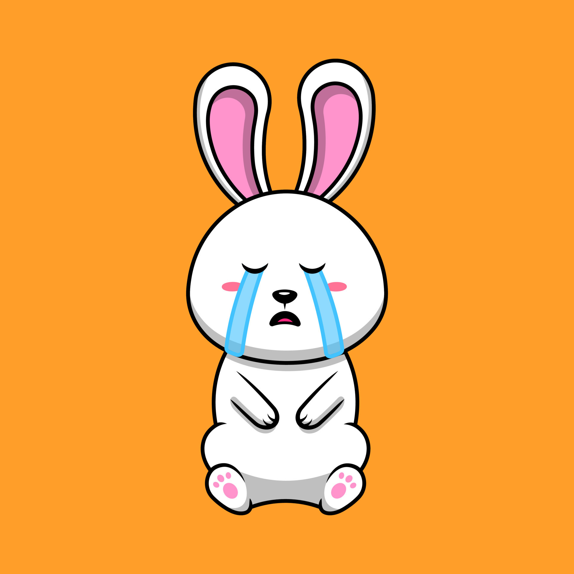Crying Bunny