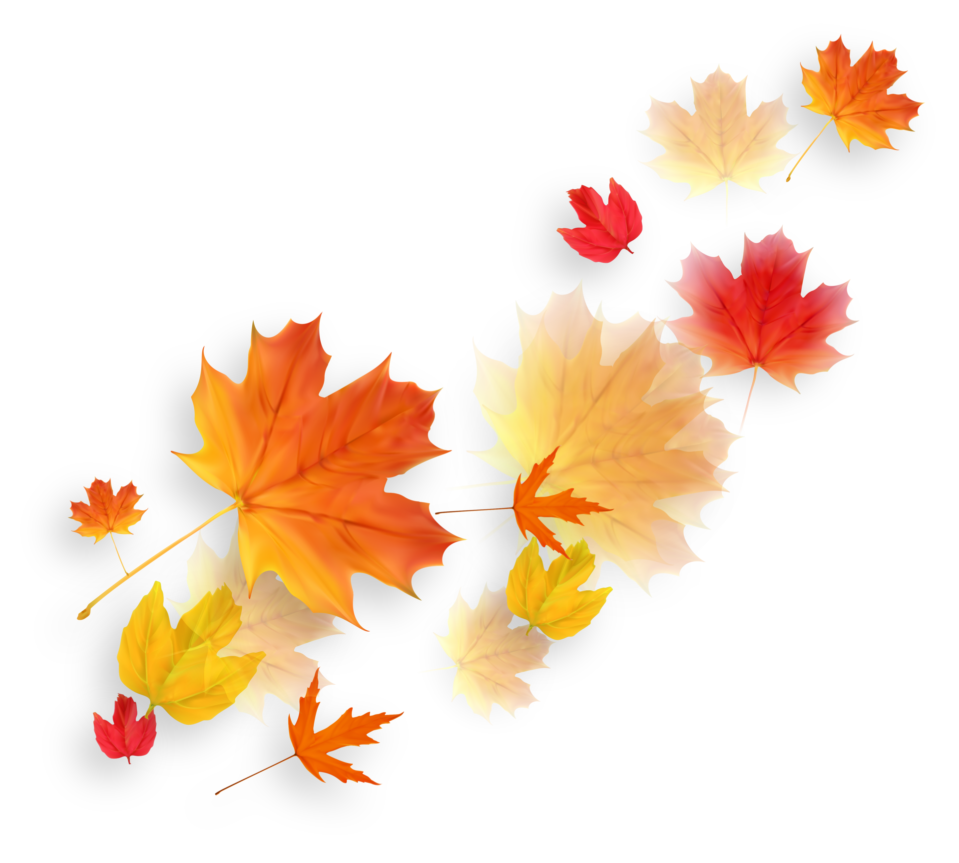 Autumn Falling Leaves Decoration Element 11154197 PNG