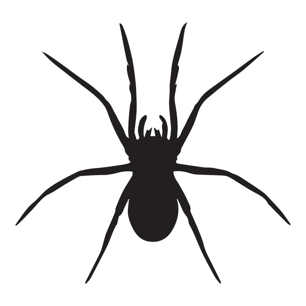 Spider vector isolated . Vector illustration 11168625 Vector Art at ...