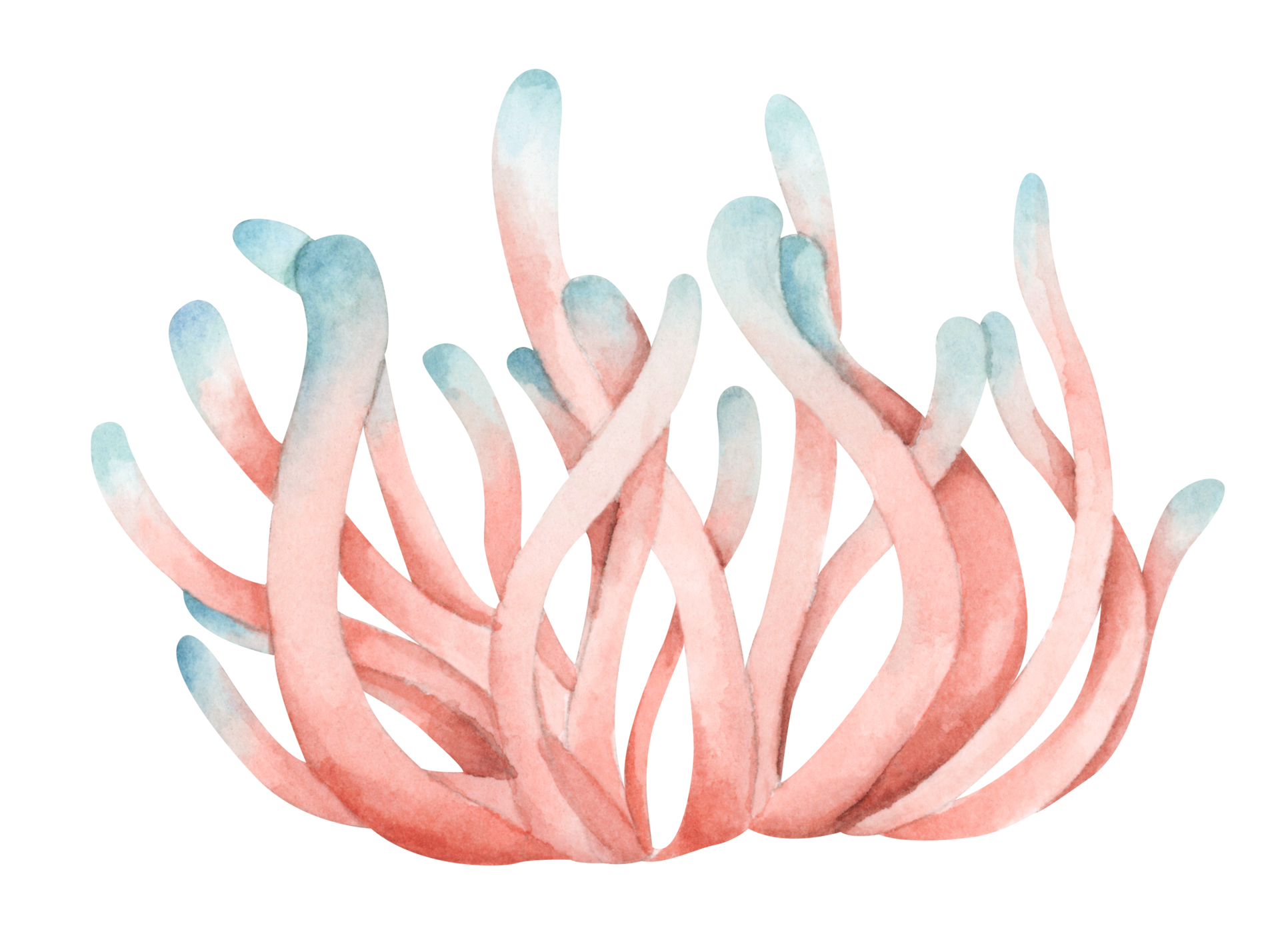 Seaweeds. Underwater ocean plants, sea coral elements. Watercolor ... Seaweeds. Underwater ocean plants, sea coral elements. Watercolor ...