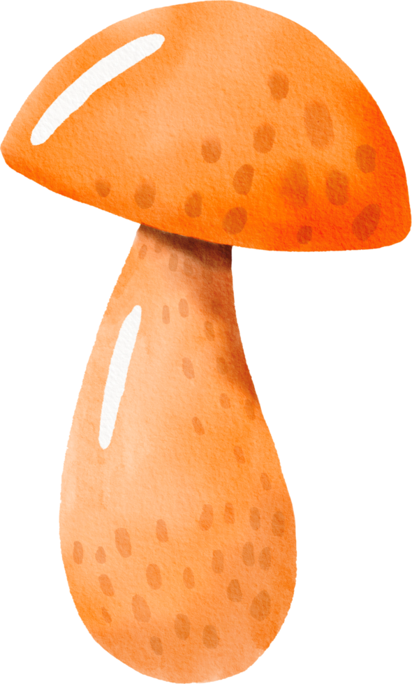 Watercolor colorful mushroom 11194056 PNG
