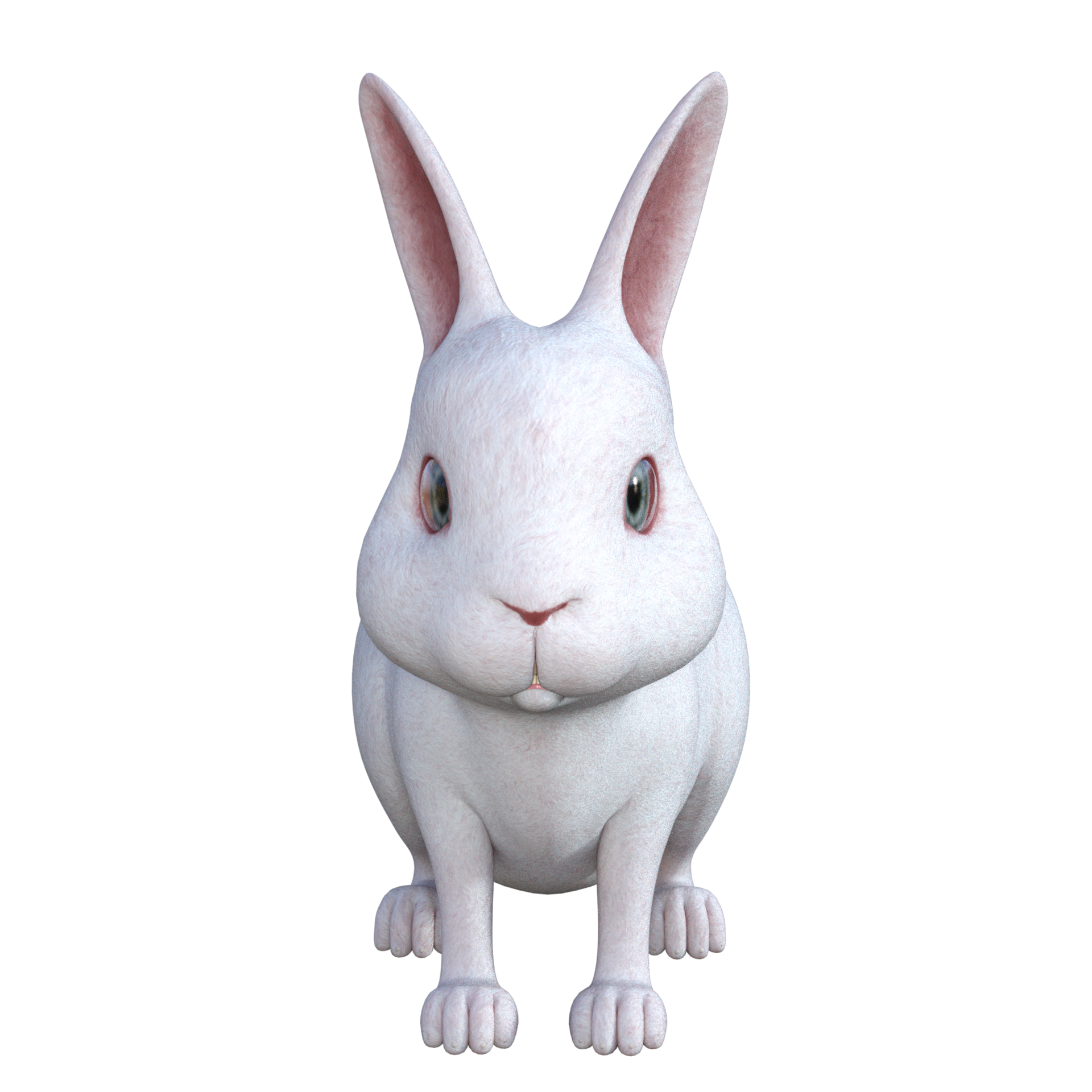 3d Model Of Cartoon Rabbit Rabbit Cartoon 3d Model Ca - vrogue.co 3d Model Of Cartoon Rabbit Rabbit Cartoon 3d Model Ca - vrogue.co