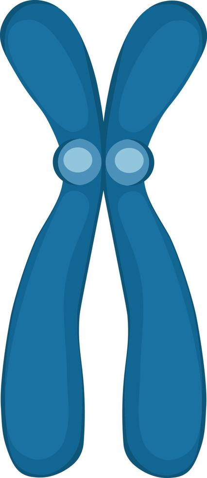 Simple Submetacentric Chromosome Vector Illustration 11202149 Vector Art At Vecteezy