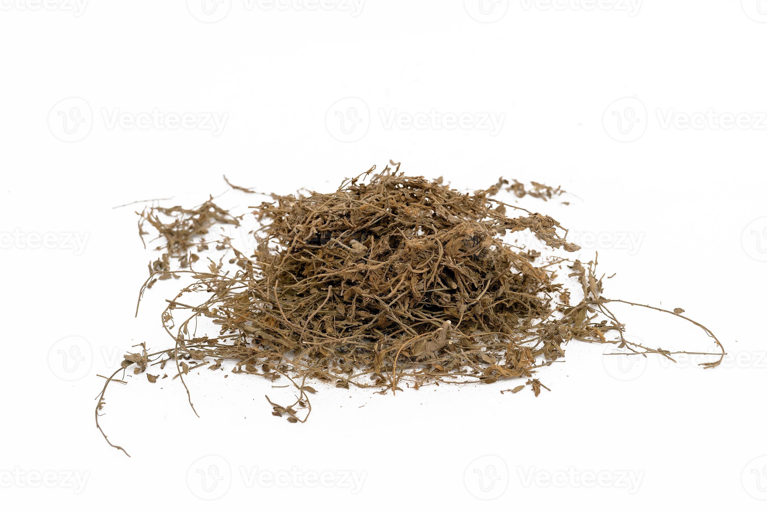 Raw natural shankh pushpi convolvulus pluricaulis on white background ...