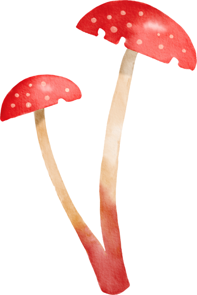 Watercolor colorful mushroom 11210859 PNG Watercolor colorful mushroom 11210859 PNG