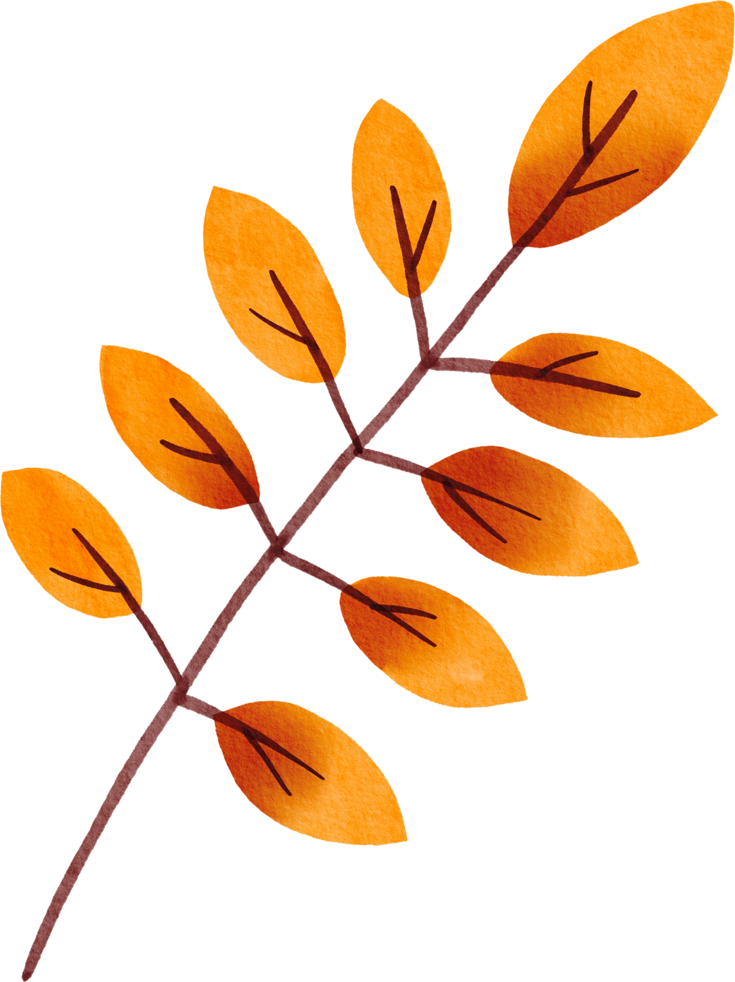 Watercolor Hand drawn Autumn Leaf 11212793 PNG Watercolor Hand drawn Autumn Leaf 11212793 PNG