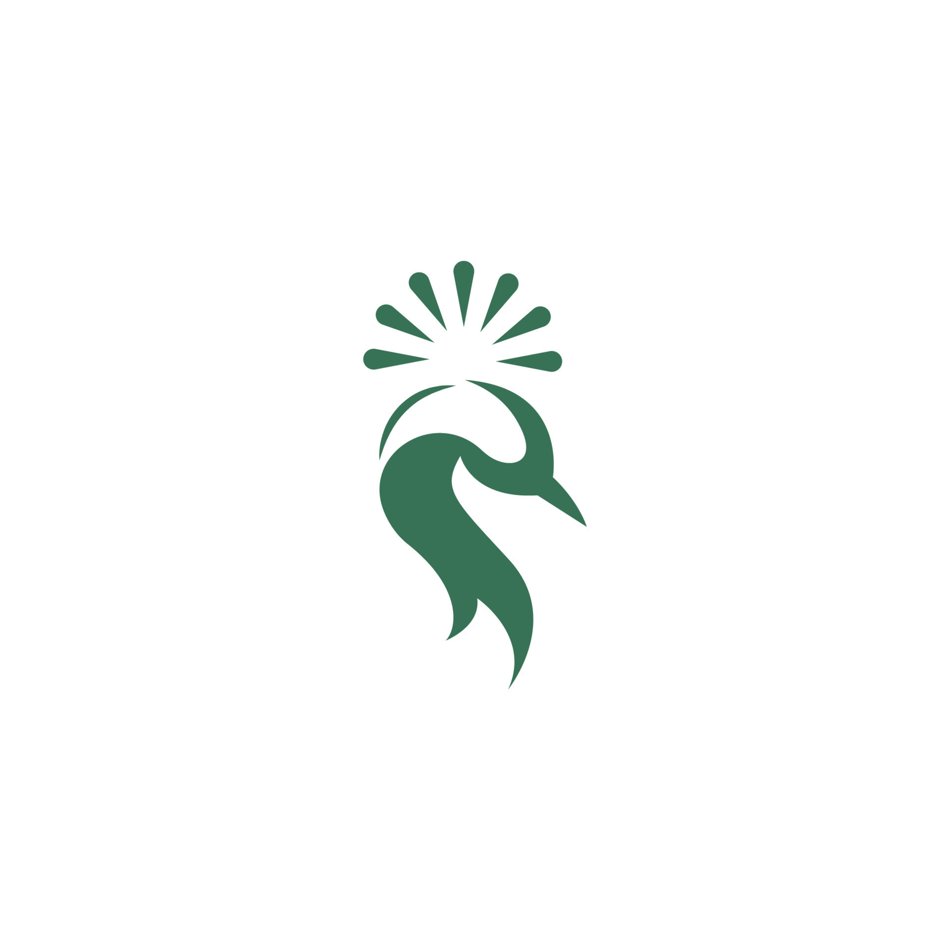 Peacock Icon Logo Design 11212840 Vector Art At Vecteezy