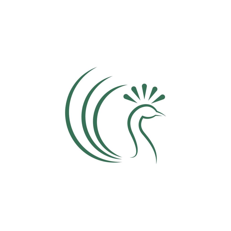 Peacock Icon Logo Design 11212852 Vector Art At Vecteezy