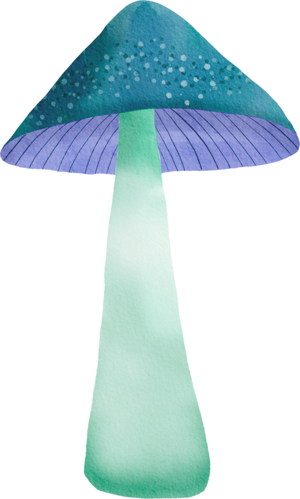 Watercolor colorful mushroom 11214914 PNG