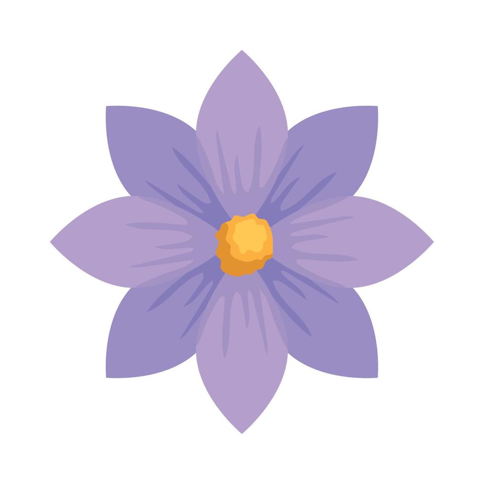 Flor Lila Flor Lila