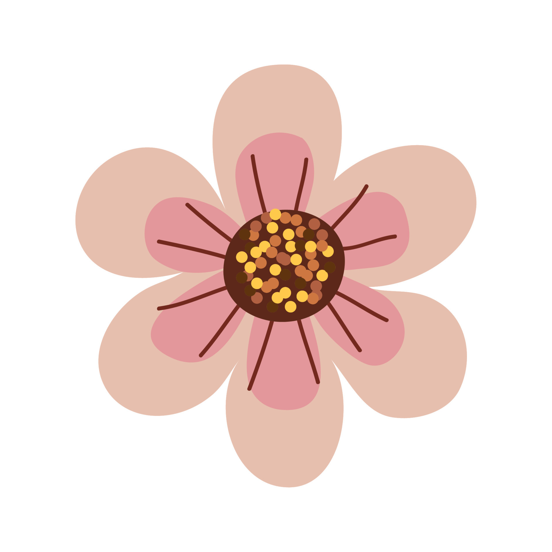 pink spring flower 11263996 Vector Art at Vecteezy pink spring flower 11263996 Vector Art at Vecteezy