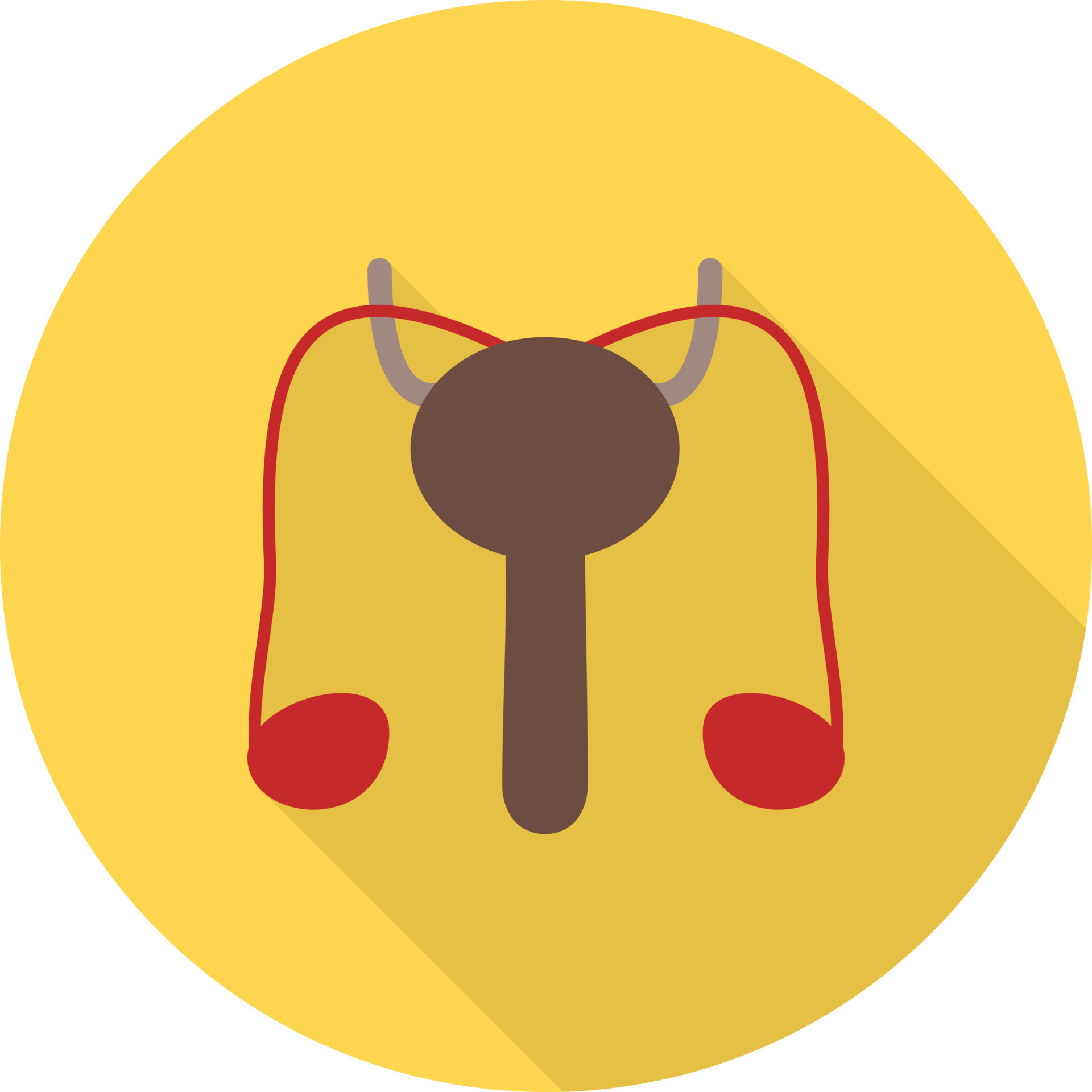 Male Reproductive System Flat Long Shadow Icon 11268996 Vector Art At